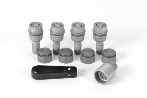 Best Wheel Locks 2025: Wheel of Misfortune